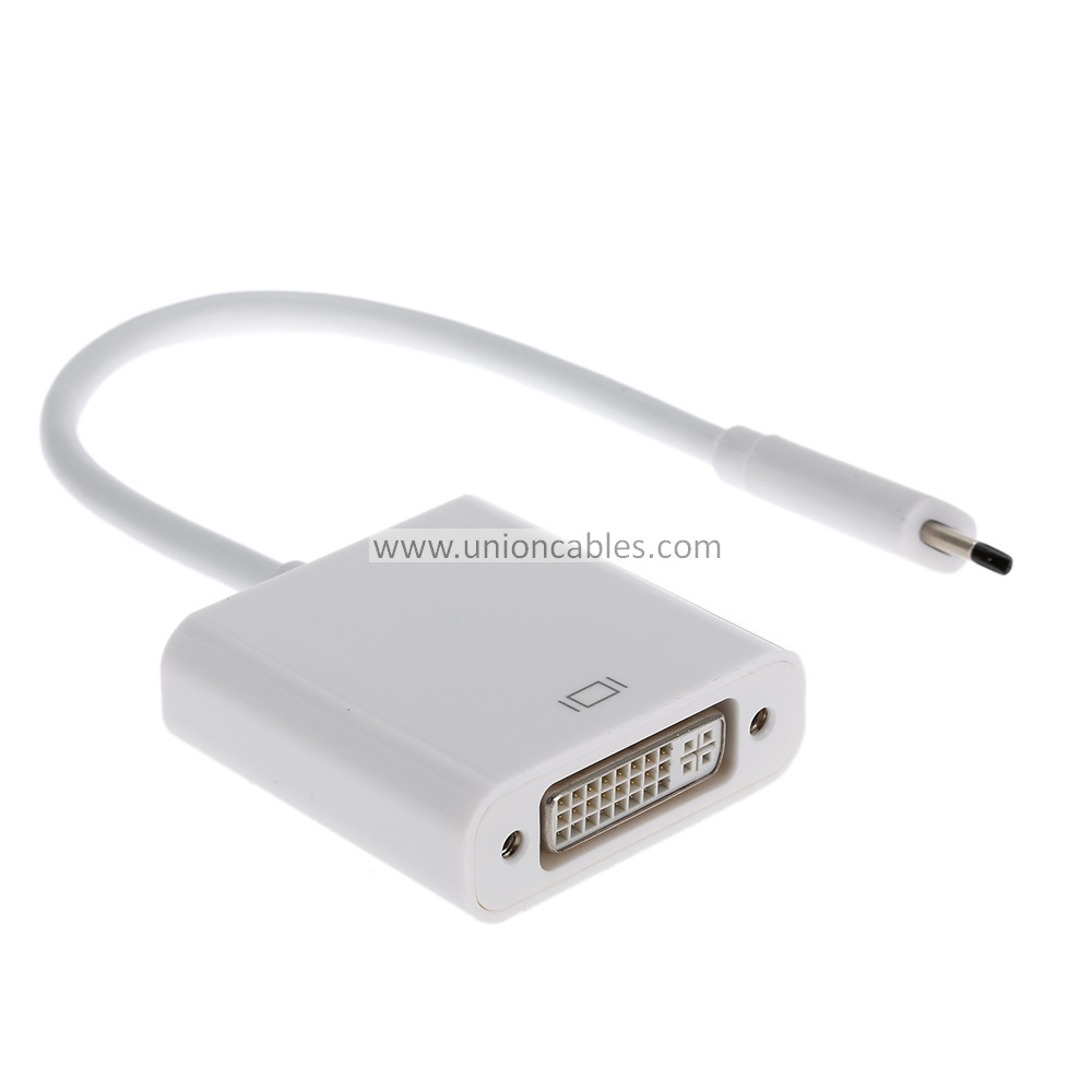 USB 3.1 Type C to DVI Adapter