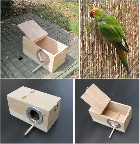 Homemade Parakeet Nesting Box