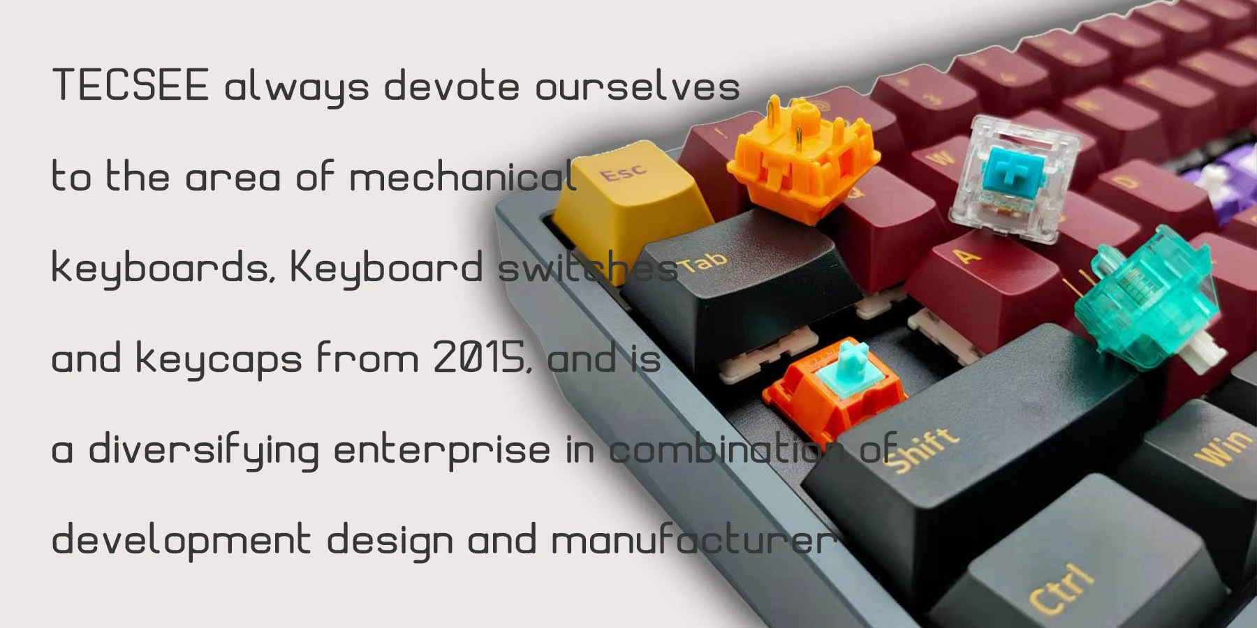 Tecsee Mechanical Keyboard Switches Key Caps Stabilizer Parts ...