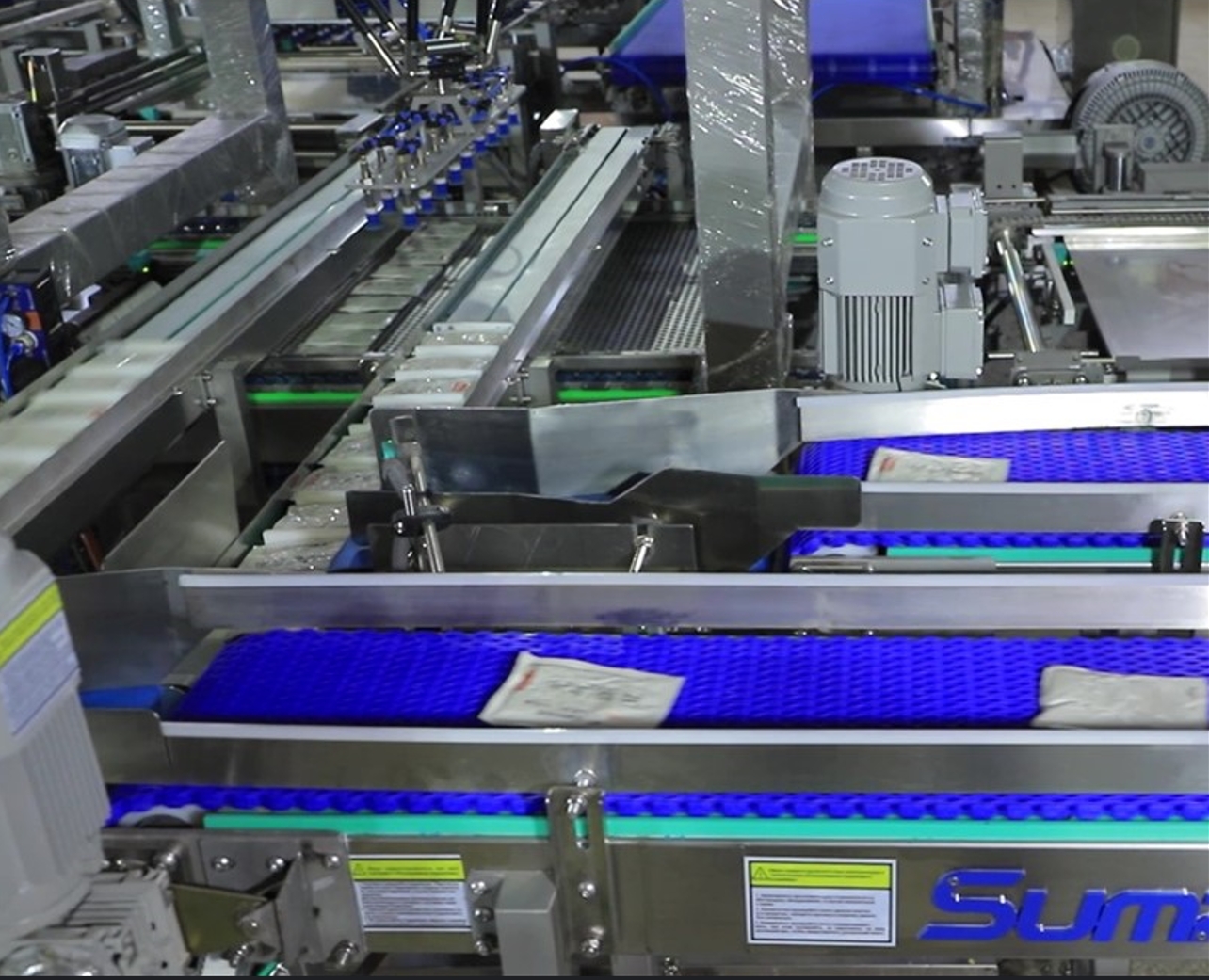 Automated Pouch Tray Loader Retort Systems