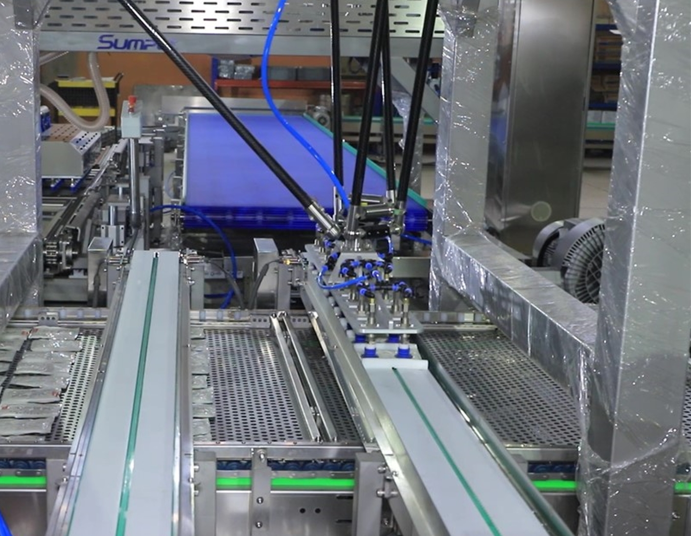 Automated Pouch Tray Loader Retort Systems