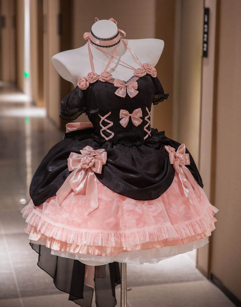 Dreamland Rose Vintage Classic Lolita Jumper Dress Set