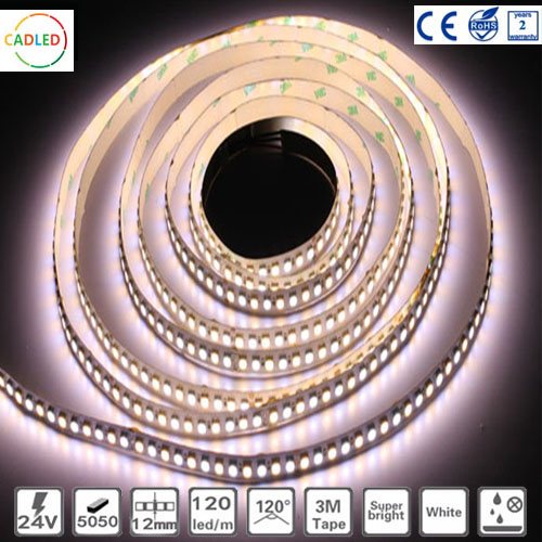 5050 Double Color LED Strip 120LED,LED Strip light