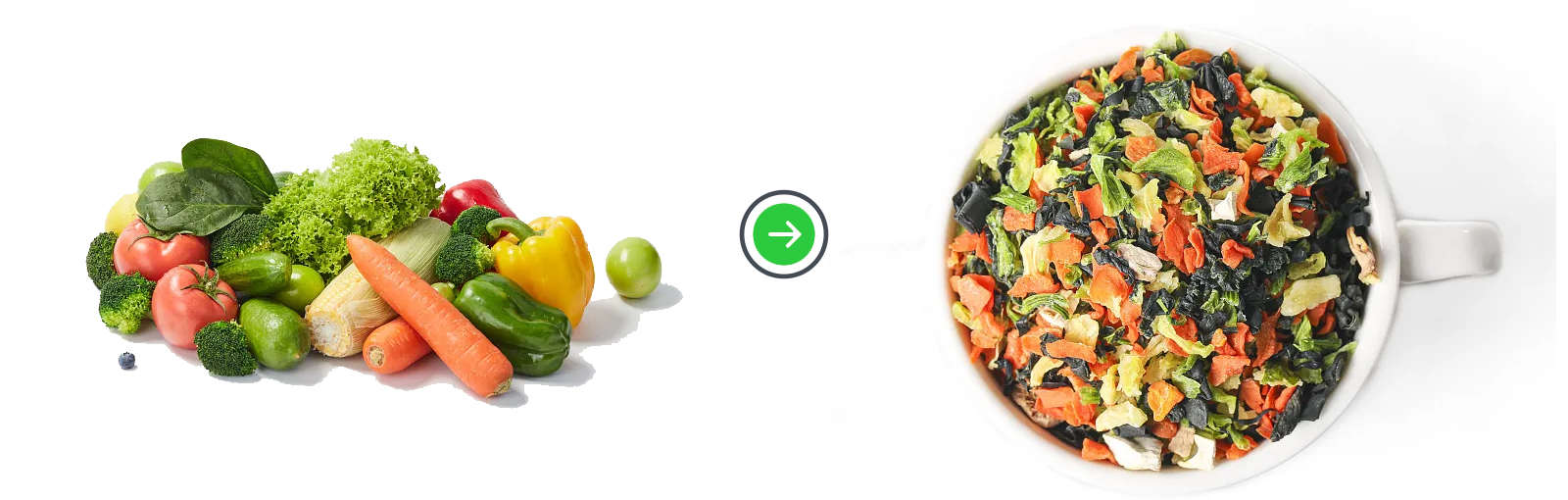 Pilot Freeze Dryer vs Conventional Dryer: Which One Suits Your Need?