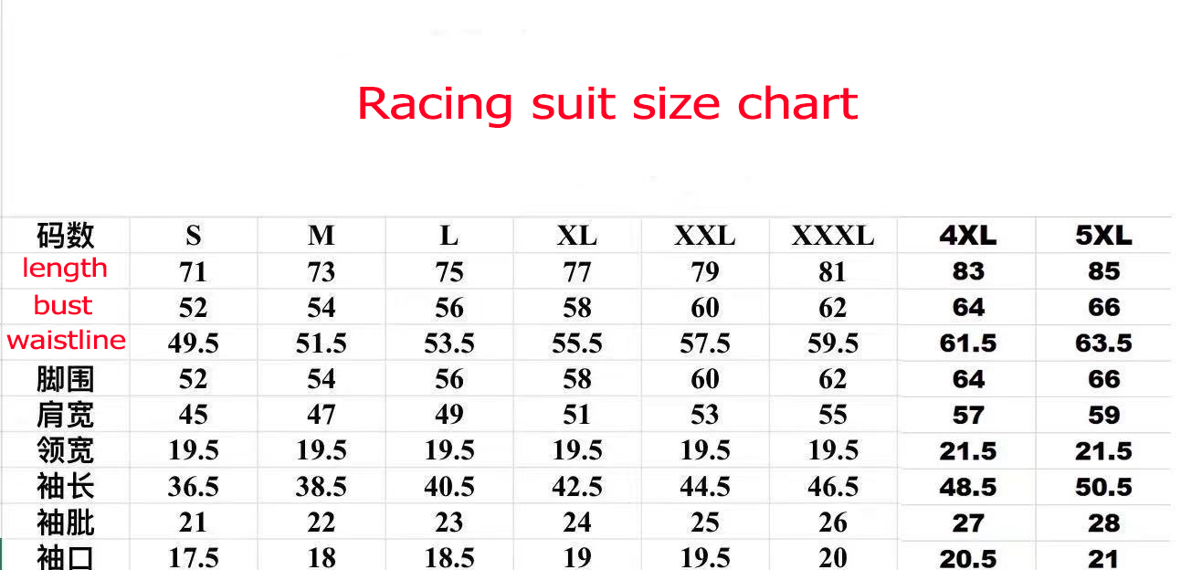 2023 Formula 1 racing suit #100