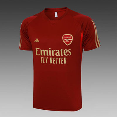 2023-2024 Arsenal adult Training clothes short sleeves