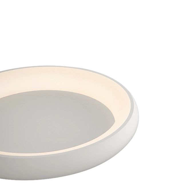 Round Shape LED Flush Mount Ceiling Light | yiilighting