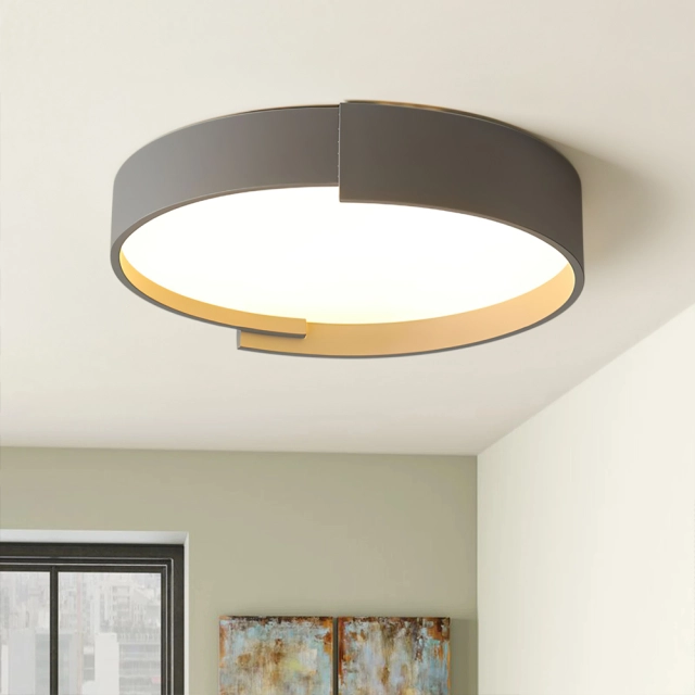 Circular Round LED Flush Mount Thin Ceiling Light | yiilighting