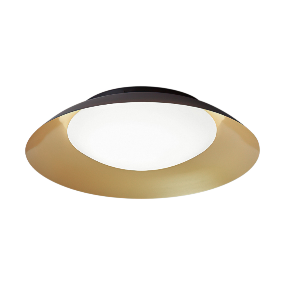 Modern Saucer LED Flush Mount Ceiling Light in Acrylic Diffuser For ...
