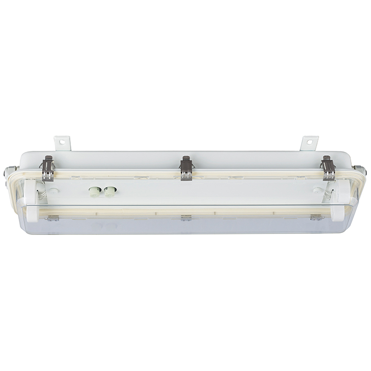 LED Marine Pendant Light