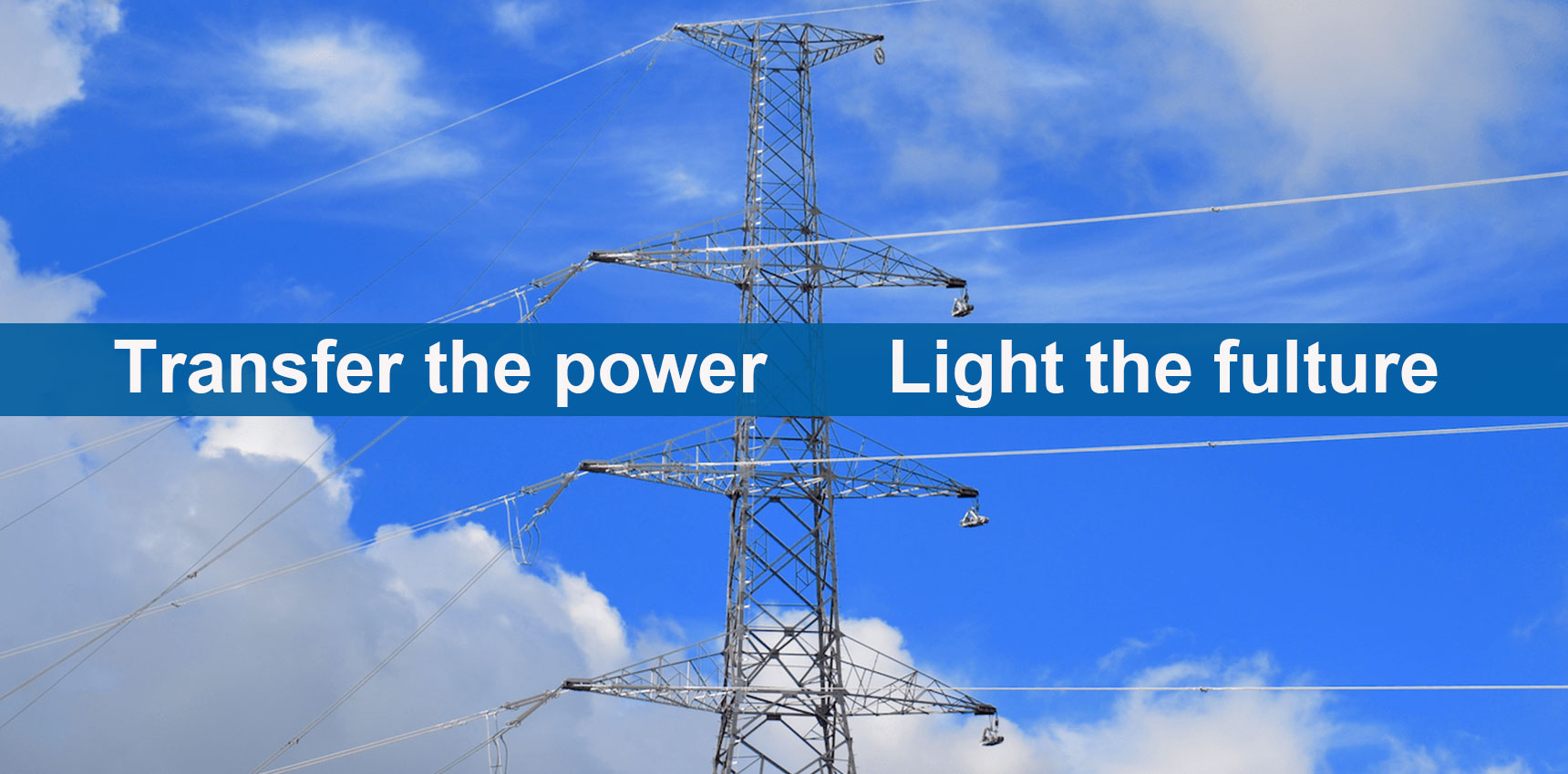 High voltage insulators and bushings for power systems - NJREC