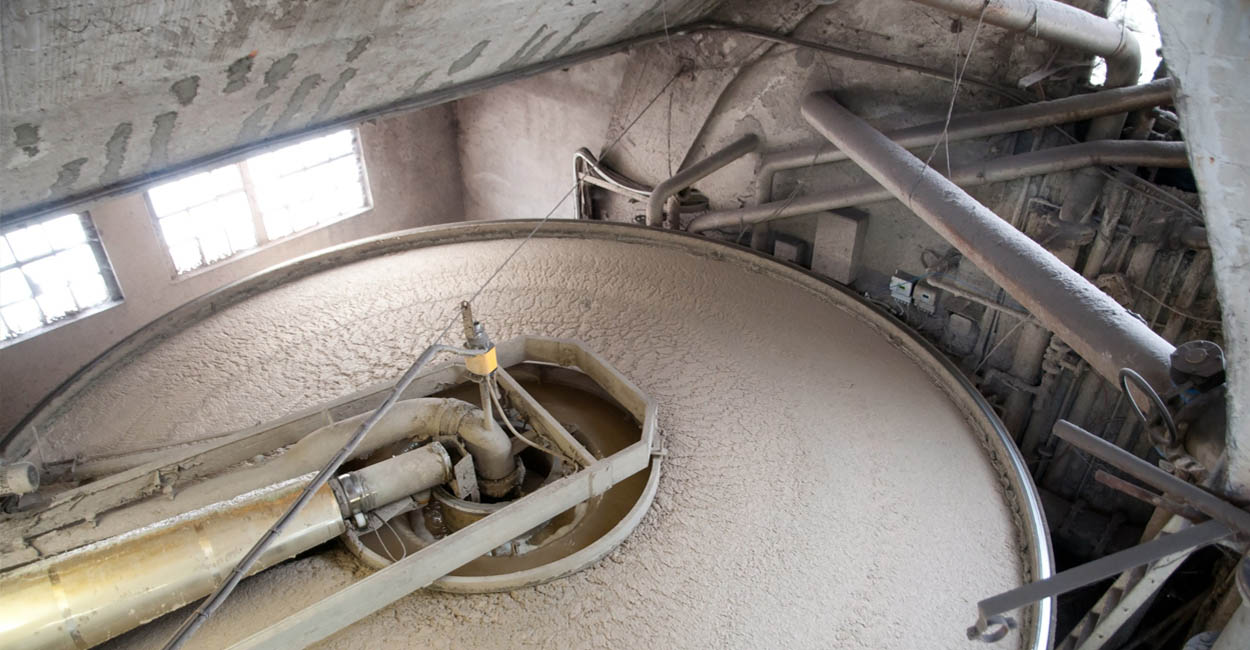 Nature paper – Nature & Healthy & Sustainable