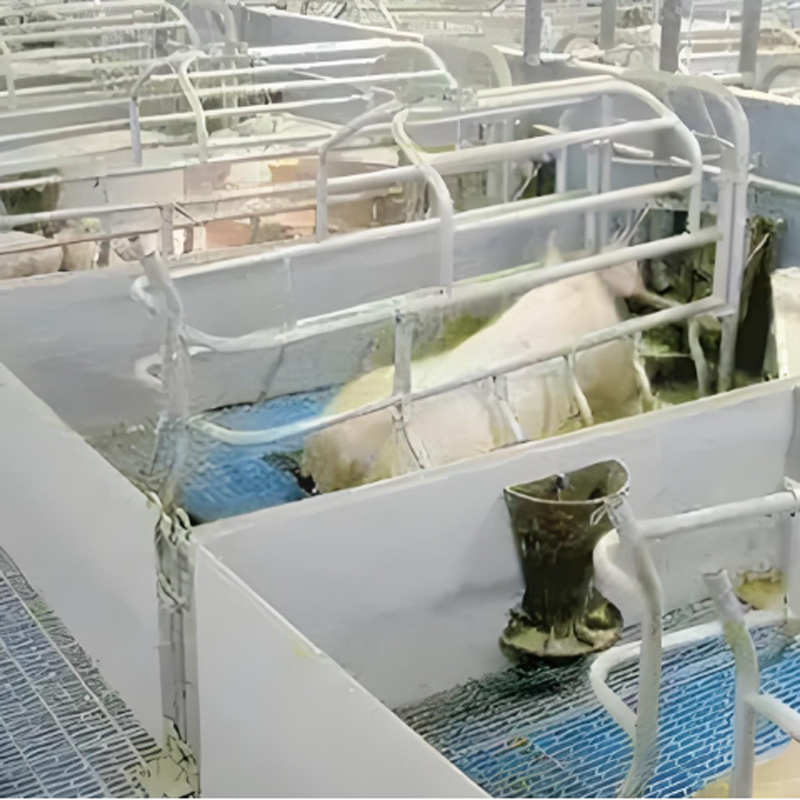 Plastic sheet for Animal husbandry Plastic protection sheet for lamb ...