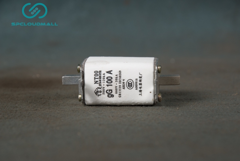 LOW VOLTAGE FUSE NT00(100A),FUSE