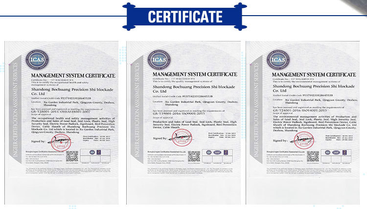 Self-locking Plastic Seals