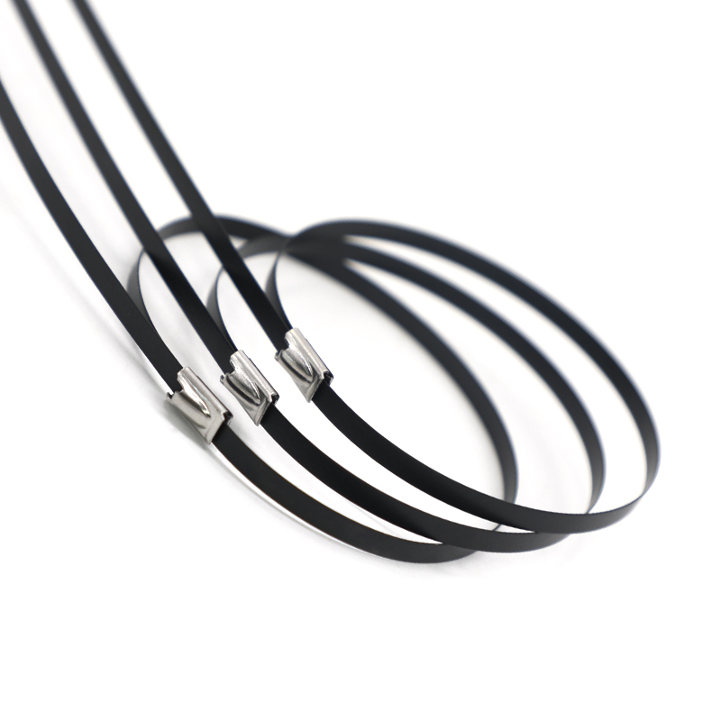 BCST006 PVC coated stainless steel cable tie,Stainless steel tie