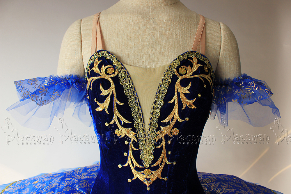 Corsaire Blue Ballet Costume