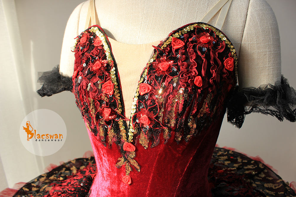 Don Quixote Kitri Ballet Costume