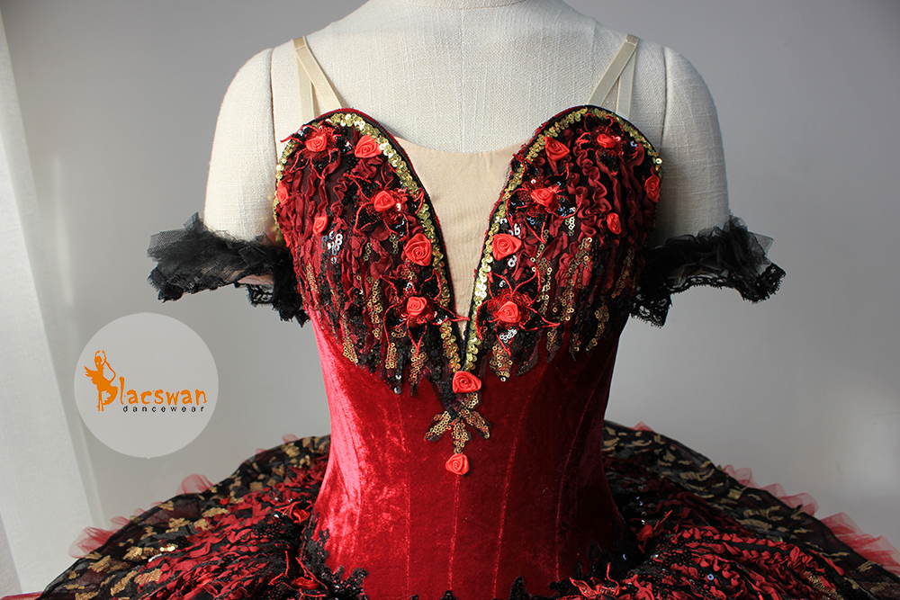 Don Quixote Kitri Ballet Costume