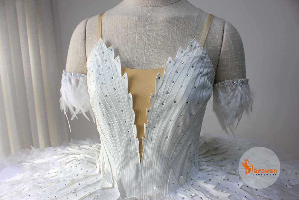 Ballet Swan Lake Costume