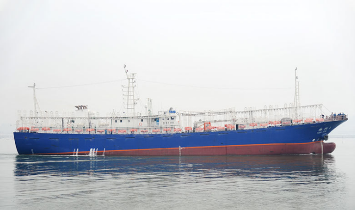 multi purpose ship vessel design and new building
