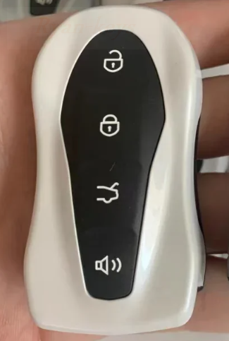 Original Car Keyless Smart Remote Key For Geely Tugella Azkarra Monjaro ...