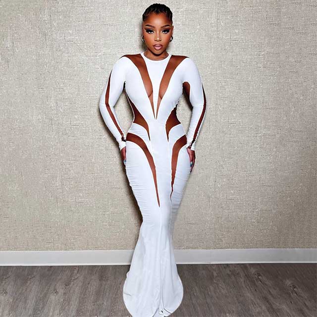 Mesh Insert Long Sleeve Maxi Dress