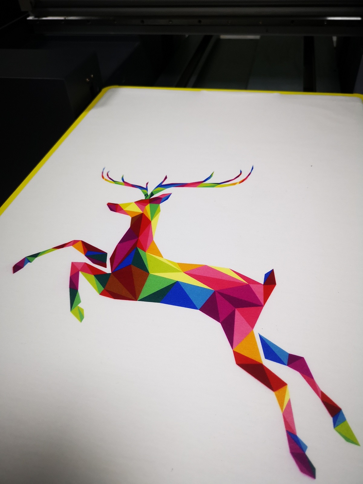 Focus Inc. Athena Jet Plus Industrial DTG Printer color white one pass ...