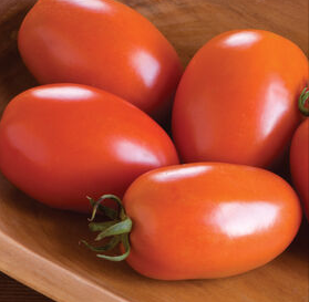 High Yield Oval Tomato Seeds