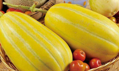 Hefei Hefeng Seed Co.,Ltd has been producing quality seeds for 26 years ...