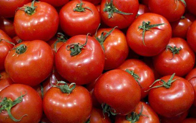 Determinate F1 Hybrid Big Red Tomato Seeds