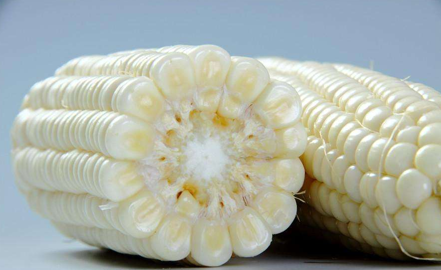 Waxy White Corn Seeds
