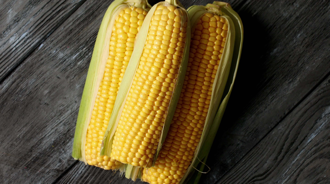 Hot sell Super Sweet Yellow Corn Seeds,Soft and Sweet