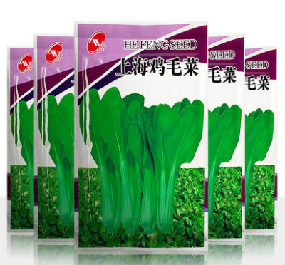 Shanghai Chicken feather Small green vegetable seeds