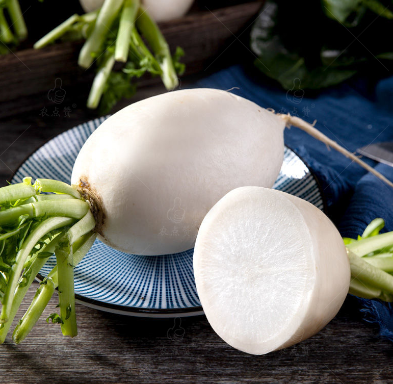 Excellent Quality Seeds Crisp High Yield Round White Radish Seeds