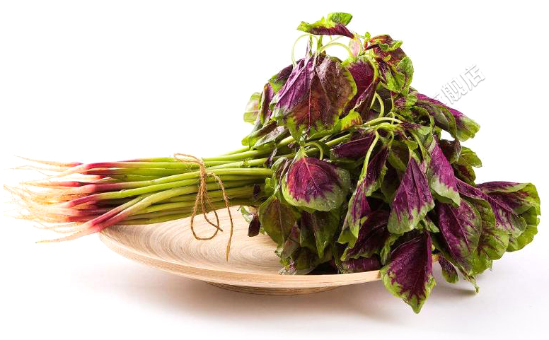 a little red leeks Amaranthus tricolor seeds