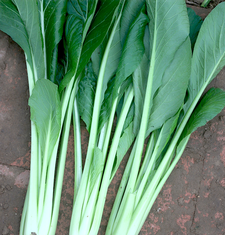 Heat Resistance Fast Growth Long White Stem Chinese Cabbage Seeds