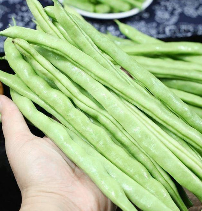 Almighty Bean King bean seeds