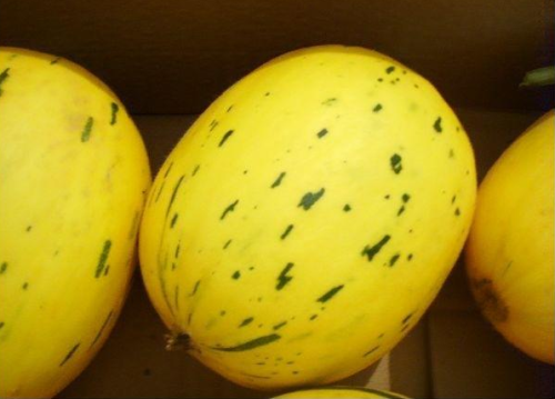 Hefei Hefeng Seed Co.,Ltd has been producing quality seeds for 26 years ...