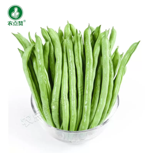 Early Maturity High Yield Short Bean Seeds
