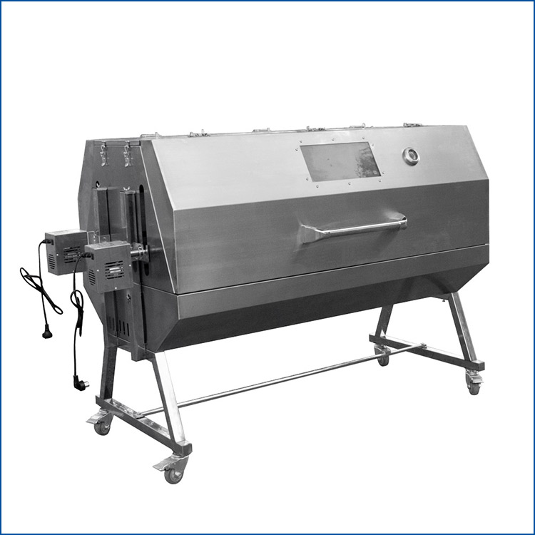 Double Location BBQ Spit Roaster Two Spit Grill Gas And Charcoal Pig ...