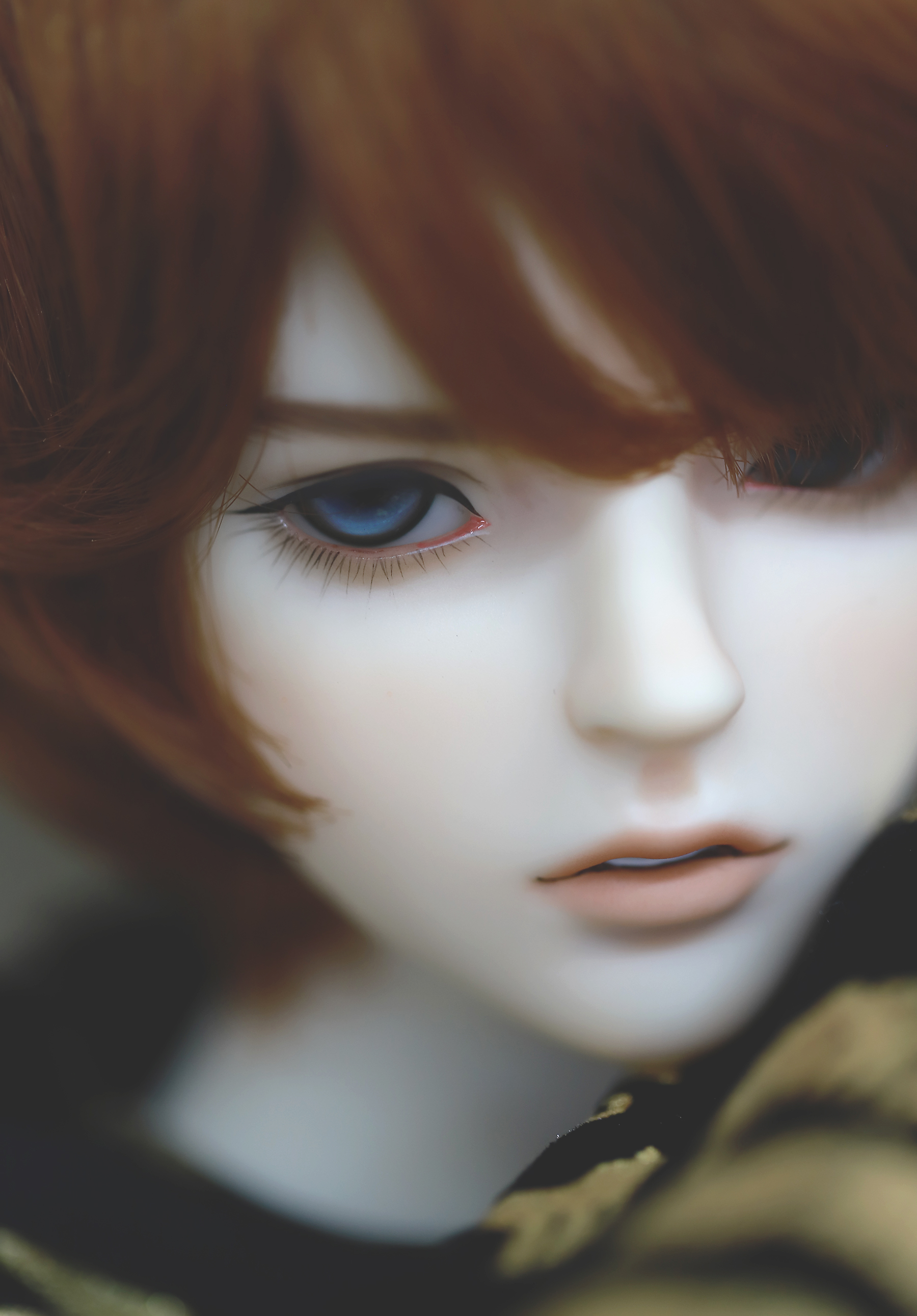 中国のRingdollオーナー・迷路姬様が撮ったHUIの写真