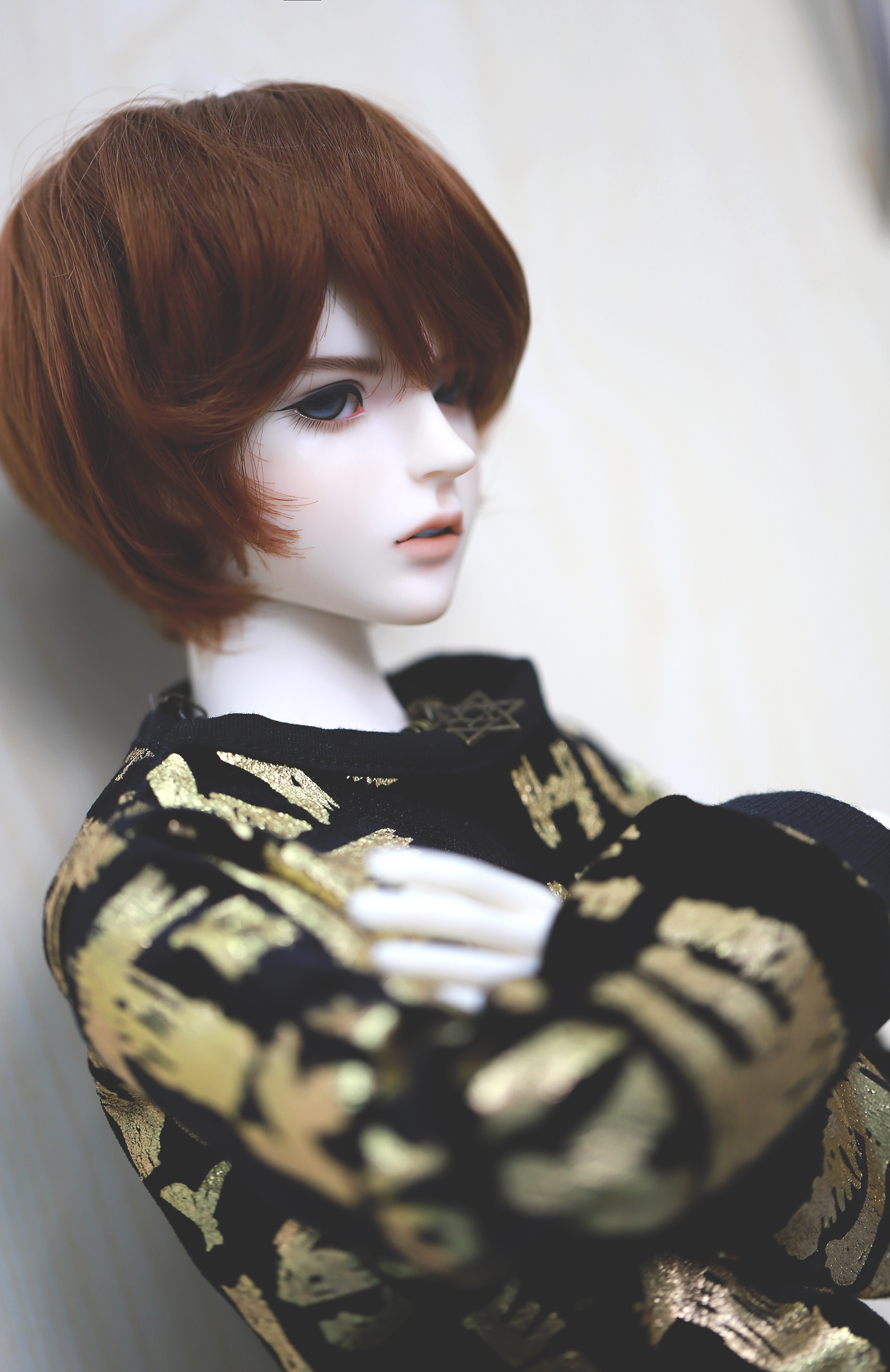 中国のRingdollオーナー・迷路姬様が撮ったHUIの写真