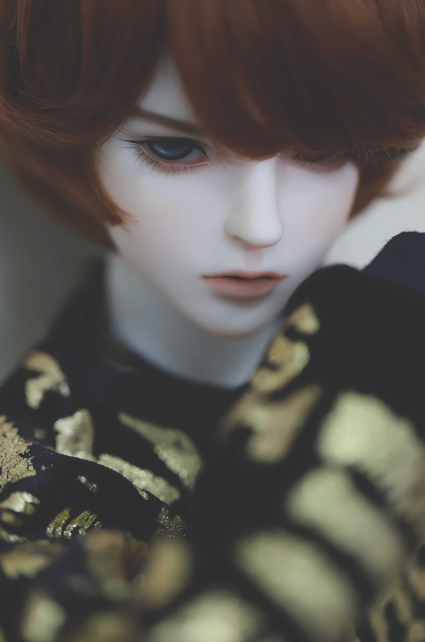 中国のRingdollオーナー・迷路姬様が撮ったHUIの写真