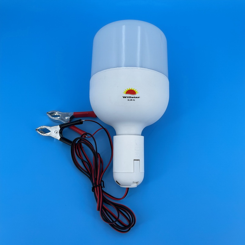 DC12V T100 Led Bulb with milky white pp cover