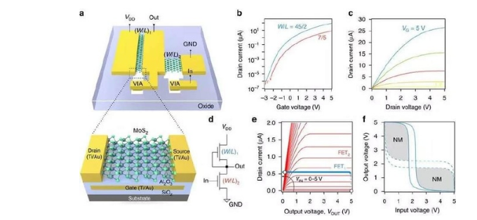 New flexible microprocessor: made of ultra-thin two-dimensional ...