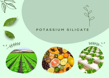 TRUNNANO | Ceramic powder,boron powder, and 3D printing metal ...