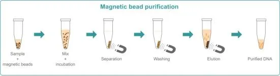 Master several nucleic acid extraction methods | TRUNNANO