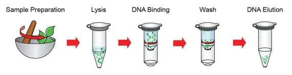 Master several nucleic acid extraction methods | TRUNNANO