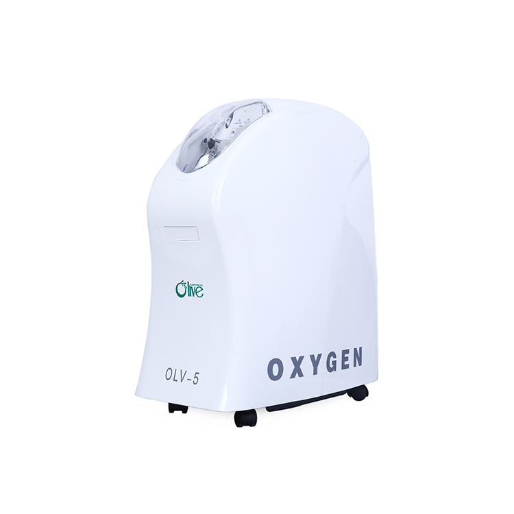 China High Quality Battery Stationary Oxygen Concentrator & 90W Medical ...